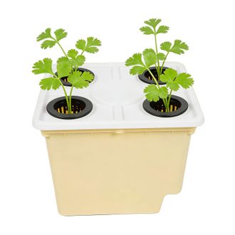 Generico Hydroponischer Blumentopf f&uuml;r Pflanzen, Gartenbedarf mit Siphonablauf, Hydrokultur f&uuml;r den Innenbereich, f&uuml;r den Innen- und Au&szlig;enbereich, Balkon, Gart