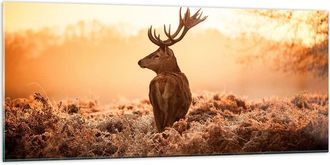 Arttor Wandbilder Dekoration Wohnzimmer Hirsch Natur Feld Panorama Bilder auf Glas 120x50cm Glasbild Schlafzimmer K&uuml;che Wand Kunstdruck Art Gro&szlig; Wanddeko Bil