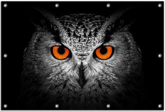 Wallario Outdoor-Poster f&uuml;r Garten oder Balkon Blick aus der Dunkelheit, Motivbanner Gr&ouml;&szlig;e: ca. 80 x 120 cm, Outdoor-Bild