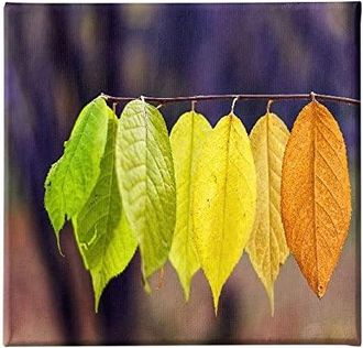 Homemania HM20KNV60x60-123 Farbbild, Natur, für Wohnzimmer, Schlafzimmer, Mehrfarbig, Polyester, Holz, 60 x 3 x 60 cm, HM20KNV60 x 60 - 123