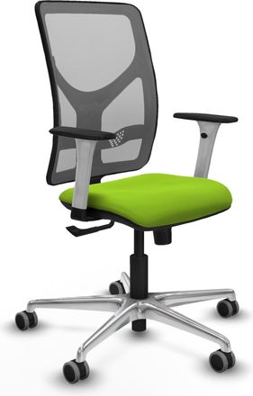 Piqueras y Crespo Ergonomischer Stuhl mit schwarzen und wei&szlig;en Armlehnen, h&ouml;henverstellbare Lendenwirbelst&uuml;tze, mit 3 Positionen, Grau/Pistazie