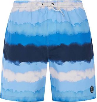 Protest Herren Badeshorts PRTHAMSEY