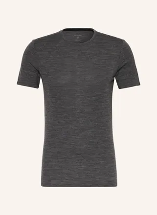Icebreaker Funktionsw&auml;sche-Shirt Anatomica Aus Merinowolle grau