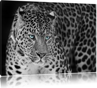 Pixxprint Prächtiger Leopard B&W, Größe: 60x40cm, Leinwandbild, fertig gespannt, Wandbild, Dekoration, Kunstdruck, kein Poster