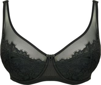 SugarShape BH Sensla