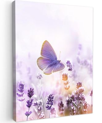 MuchoWow © Wandbilder 60x80 cm Wohnzimmer Wanddeko Schlafzimmer Zimmerdeko Fotowand Zimmer Deko Wand Dekoration Wall Art Bilder - Lavendel - Schmetterling - Li