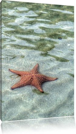 Pixxprint Seestern im klaren Wasser, Größe: 60x40cm, Leinwandbild, fertig gespannt, Wandbild, Dekoration, Kunstdruck, kein Poster