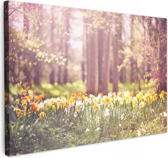 MuchoWow Leinwand Bilder, Einzigartige Wanddeko mit Rahmen, Fr&uuml;hling - Narzissen - B&auml;ume, Wandbilder Wohnzimmer, Deko Schlafzimmer 60x40 cm