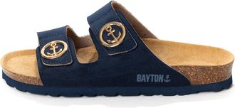 Bayton Mules Anatol