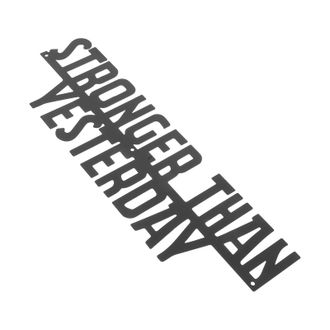 NUOBESTY Wanddekoration Fitness Metallschild mit Motivierendem Fitnesszitat 40x12cm f&uuml;r Heim Fitnessraum und Trainingsbereich Langlebig und Modern