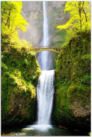 Wallario Outdoor-Poster f&uuml;r Garten oder Balkon Br&uuml;cke &uuml;ber dem Wasserfall, Motivbanner Gr&ouml;&szlig;e: ca. 60 x 90 cm, Outdoor-Bild