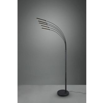 Trio Leuchten Lampadaire Reed 5 Arcs Led Noir Mat H195 cm Trio Lighting