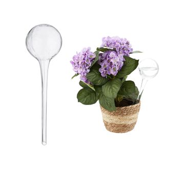 Relaxdays 12 x Bew&auml;sserungskugel, dosierte Pflanzen Bew&auml;sserung, Blumentopf, Gie&szlig;hilfe B&uuml;ro, Urlaub, Glas &Oslash; 9cm, transparent