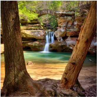 Wallario Sticker/Aufkleber f&uuml;r K&uuml;hlschrank/Geschirrsp&uuml;ler/K&uuml;chenschr&auml;nke, Selbstklebende Folie - 60 x 60 cm, Motiv: Versteckter Platz im Wald
