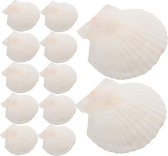 Lurrose 21 St&uuml;ck Teiliges Wei&szlig;e Nat&uuml;rliche Jakobsmuscheln f&uuml;r Basteln Aquariumdekoration Handwerk Maritime Wohnaccessoires Vielseitig f&uuml;r Meeresprojekte und B