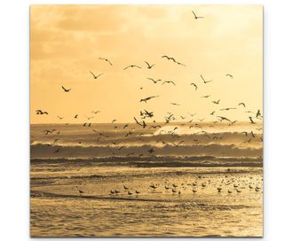 Paul Sinus Art Leinwandbilder | Bilder Leinwand 90x90cm M&ouml;wenschwarm &uuml;ber dem Meer