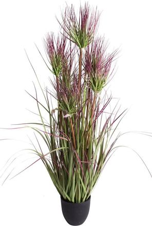 Botanic-Haus künstliches Grasarrangement (Zyperngrasbusch) im schwarzen Kunststofftopf Farbe: grün-Burgund