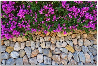 Wallario Outdoor-Poster f&uuml;r Garten oder Balkon Mauer mit pinken Bl&uuml;ten, Motivbanner Gr&ouml;&szlig;e: ca. 60 x 90 cm, Outdoor-Bild