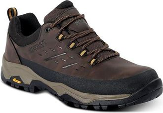 Regatta Blake Low Hiking Shoes EU 43