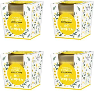 Pajoma Duftkerze im satinierten Glas | Brenndauer: 25 Stunden, in edler Geschenkverpackung | Premium Qualit&auml;t (Hello Summer, 4)