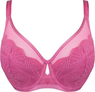 SugarShape BH Luxe