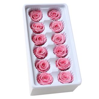 NUOBESTY Konservierte Rose 12 St&uuml;ck Kasten f&uuml;r Romantische Atmosph&auml;re und Innendekoration bei Besonderen Anl&auml;ssen und Hochzeiten