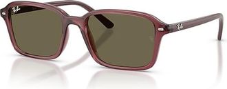 Ray-Ban Rb9131s Kids Sonnenbrillen Violett Fassung Braun Glas 50-17