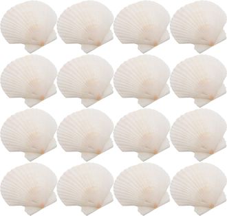 BESPORTBLE 21 Stück Teiliges DIY Muschelset Natürliche Weiße Fächermuscheln für Basteln Stranddeko Aquarium Fischaquarium Deko Kreativset Meeresthema Partygestal