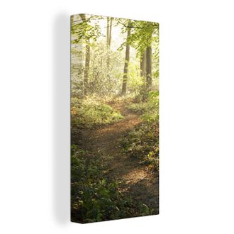 MuchoWow Leinwand Bilder, Einzigartige Wanddeko mit Rahmen, Wald - Bäume - Weg - Sonne - Pflanzen - Laub - Natur, Wandbilder Wohnzimmer, Deko Schlafzimmer 20x4