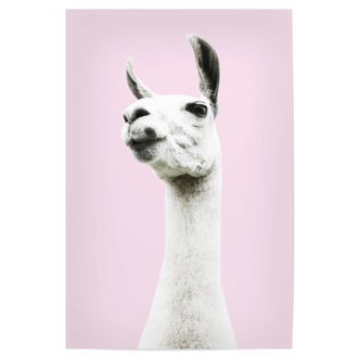 artboxONE Poster 30x20 cm Lama & Alpaka Tiere Pink Llama hochwertiger Design Kunstdruck - Bild Llama Animal Animals