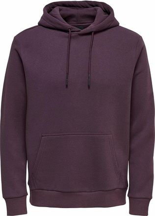 Only & Sons Onsceres Hoodie Sweat Noos