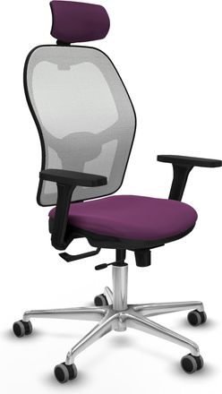 Piqueras y Crespo Ergonomischer Stuhl mit Lendenwirbelst&uuml;tze mit 3D-Armlehnen und h&ouml;henverstellbarem Kopfteil und Neigungsverstellung. Ausgestattet mit Syncro/Traslack 