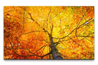 Paul Sinus Art Bilder XXL Baum mit bunten Blättern 120x70cm Wandbild auf Leinwand
