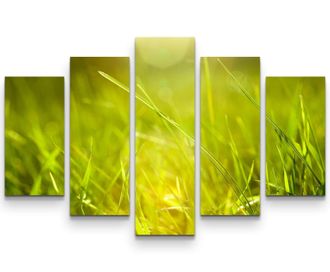 Paul Sinus Art Naturfotografie - Grashalme148 teiliges Wandbild auf Leinwand (Gesamtma&szlig;: 150x100cm)