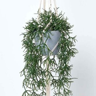 Homescapes h&auml;ngende Kunstpflanze im Topf mit Makramee-Blumenampel zum Aufh&auml;ngen, k&uuml;nstliche H&auml;ngepflanze Rhipsalis mit Melamin-Topf, k&uuml;nstliche Pflanze, Korallen
