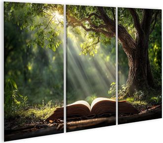 Islandburner Prime Bild auf Leinwand Magisches Baumlicht und offenes Buch im Wald f&uuml;r Wohnzimmer Naturfreunde Buchhandlung Bilder Wandbilder Poster