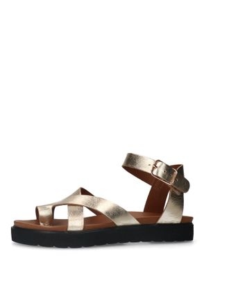 Manfield Zehentrenner