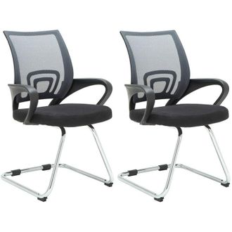 Clp 2er Set Freischwinger Eureka grau