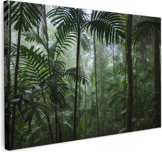MuchoWow © Leinwand Bilder Groß 120x80 cm XXL Wanddeko Wohnzimmer Aesthetic Room Decor Deko Zimmer Wandbilder Modern Fotogeschenke Regenwald - Dschungel - Bäum