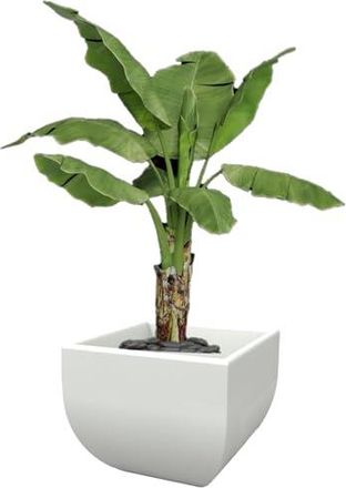 KLORIS Moderne quadratische Vase Mittelmeer glatt 50 x 50 cm H&ouml;he 42 cm Farbe wei&szlig; Made in Italy