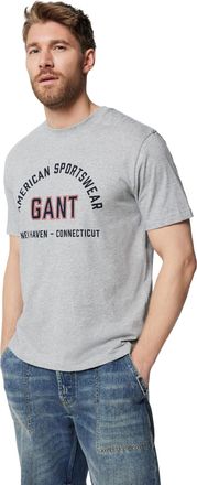 GANT Herren Printed Graphic SS T-Shirt, Grau, XL