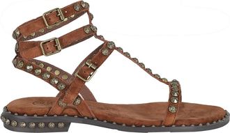 Ash Ash, Femme, Chaussures, Brun, Taille: 40 EU Play Studded Flat Sandal