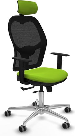 Piqueras y Crespo Moderner ergonomischer Stuhl mit 1D-Armen, h&ouml;henverstellbarer Lendenwirbelst&uuml;tze und h&ouml;henverstellbarem Kopfteil, Schwarz / Pistazie