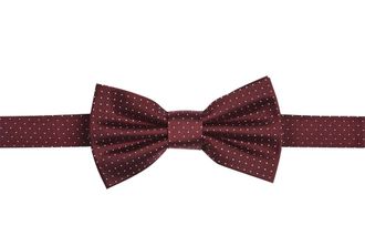Bexley Noeud Papillon Soie Micro Pois - Cravate homme bordeaux et bleu ciel