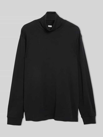 s.Oliver Red Label Langarmshirt mit Rollkragen Jersey