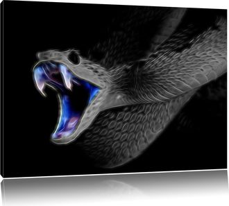 Pixxprint Majest&auml;tische Schlange, Natur, Bild, Gr&ouml;&szlig;e: 80x60cm, Leinwandbild, fertig gespannt, Wandbild, Dekoration, Kunstdruck, kein Poster