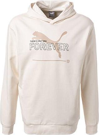 Puma Herren Hoodie beige Baumwolle