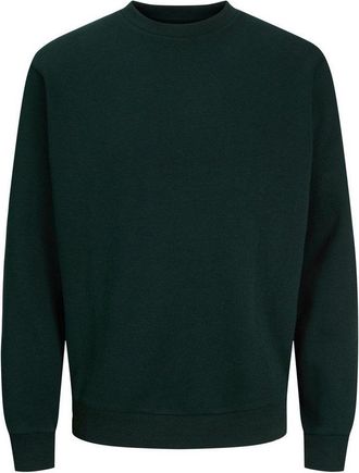 Jack & Jones Sweatshirt JJEBRADLEY SWEAT CREW 2PK MP (Packung, 2-tlg) Materialmix, relaxed fit