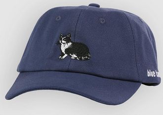 Blue Tomato Animal Dad Cap navy cat