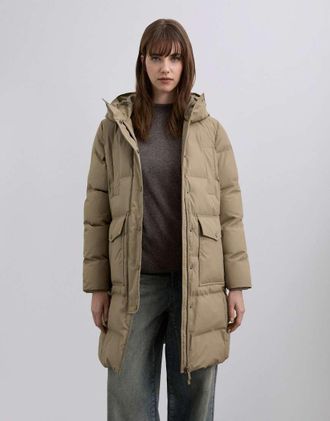 Scalpers Palo - Doudoune - Taupe-Neutre